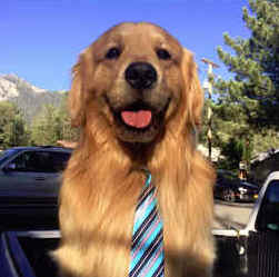 Mayor Max of Idyllwild, California